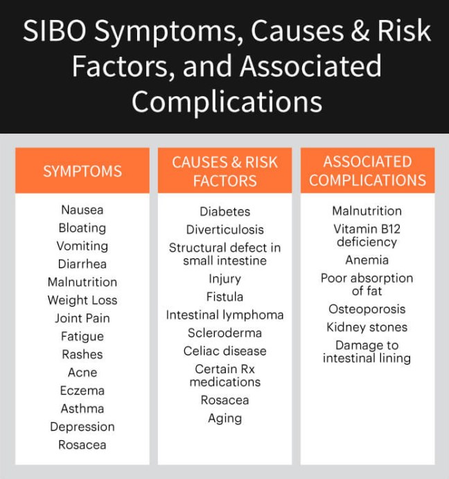 Understanding SIBO – My SIBO Recipes