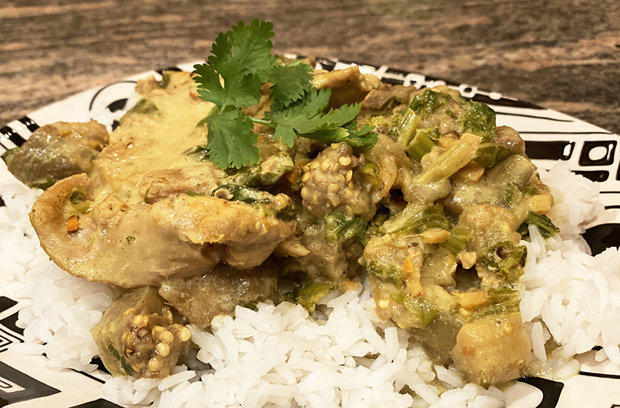 Creamy Coconut Turmeric Chicken for SIBO – My SIBO Recipes